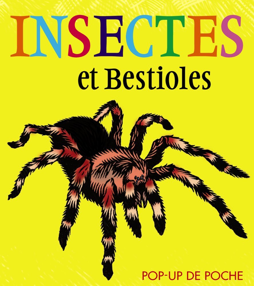 Insectes et bestioles - Walker Books | 9782203064690 | Amazon.com.au ...