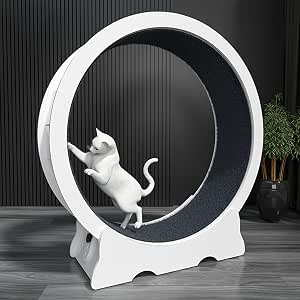 Cat Exercise Wheel Cat Wheel Löpband Vit, Tysta Katthjul för ...