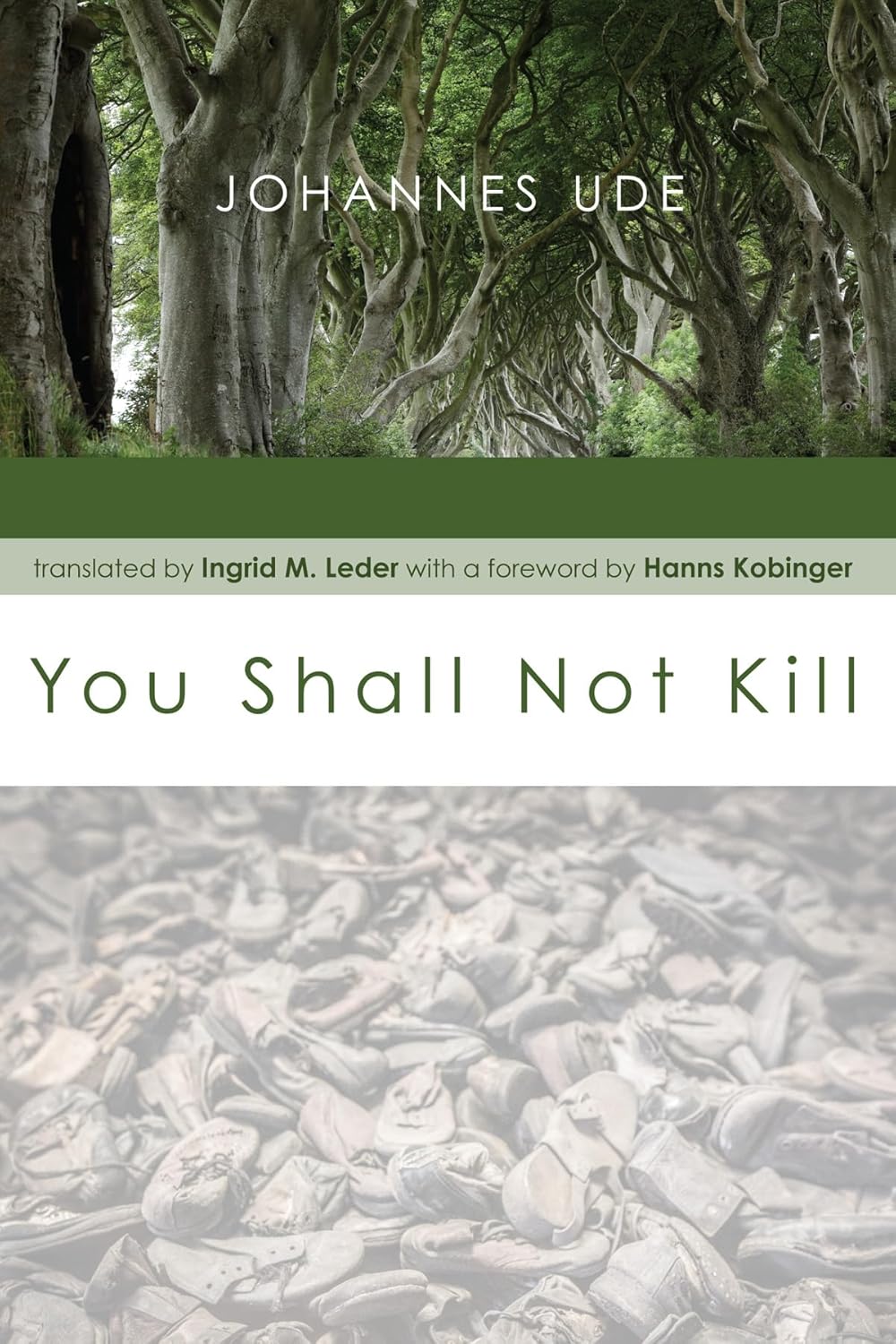 You Shall Not Kill: Ude, Johannes: 9781625647634: Books - Amazon.ca