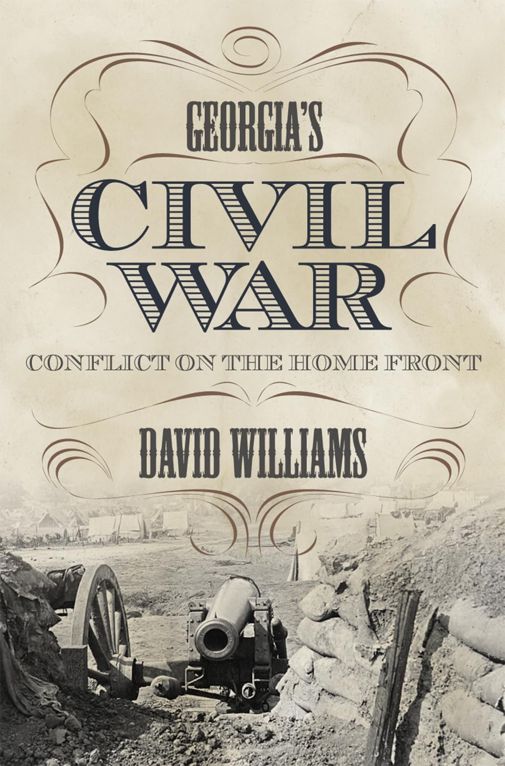 Georgias Civil War (State Narratives of the Civil War): Williams, David ...