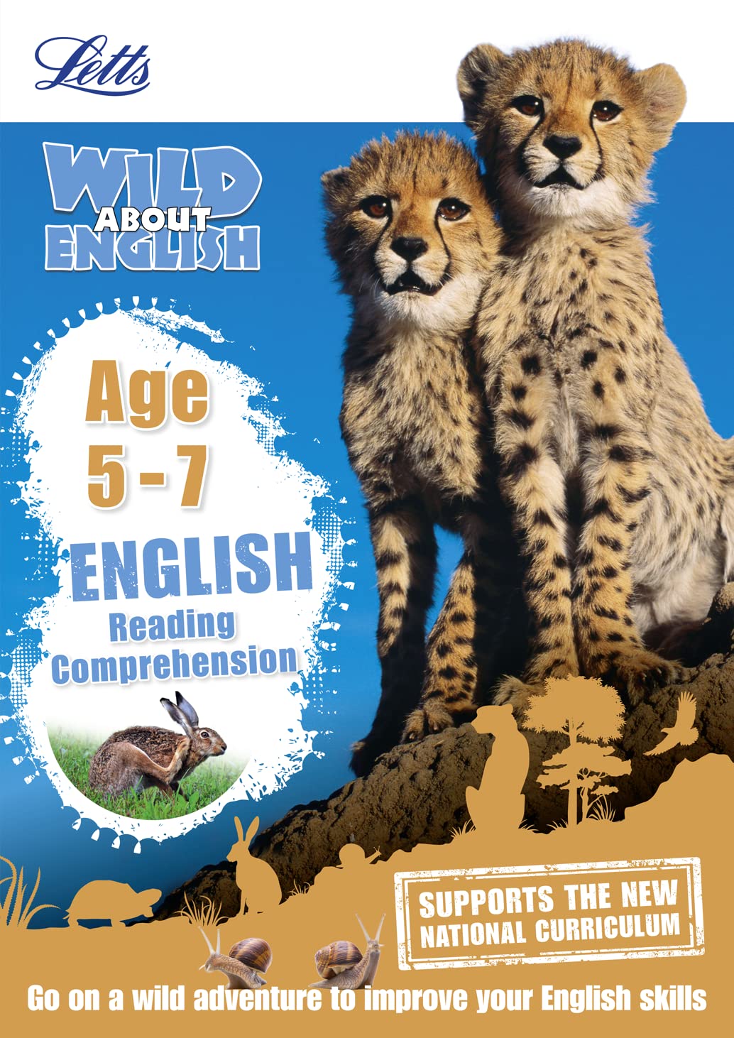 Amazon.com: Letts Wild About – English ― Reading Comprehension Age 5-7: ...
