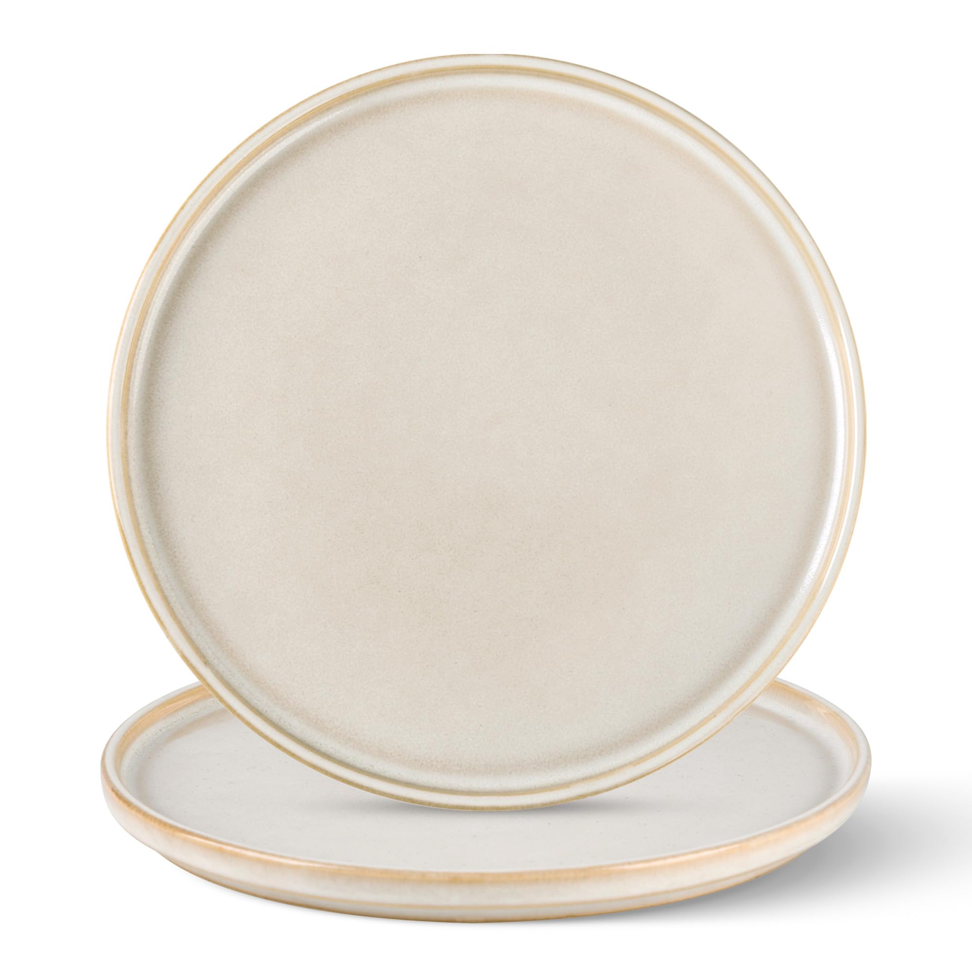 Snapklik.com : ADP155VI-2P Dinner Plates Set Of 2