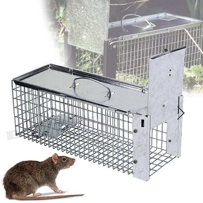 Buy Autofather Large Humane Rat Trap Live Mouse Cage Trap, Rat and ...