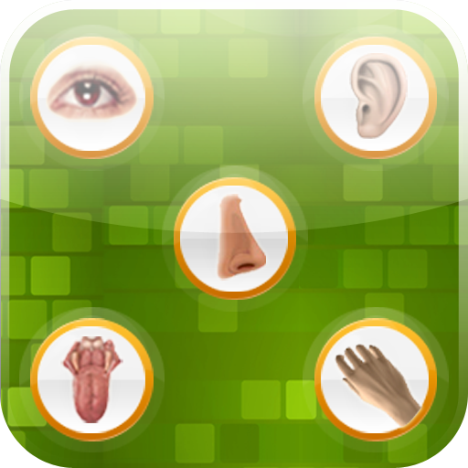 Human Senses - App on Amazon Appstore