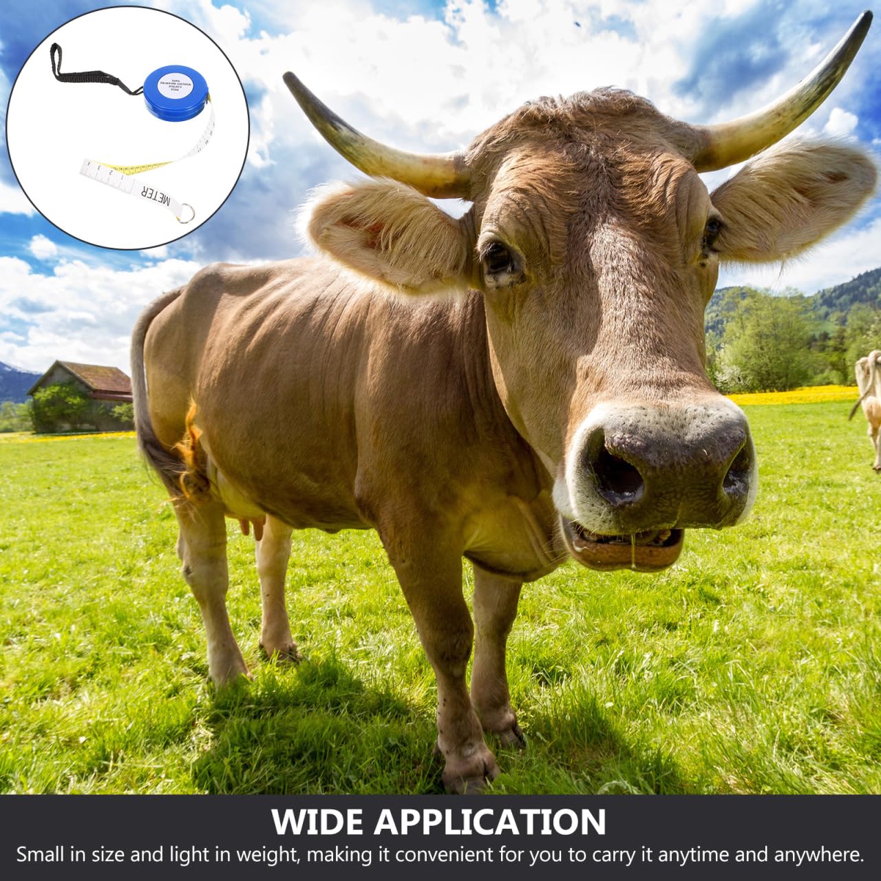 Snapklik.com : 2.5 Meter Animal Measuring Tape Livestock Weight Tape ...