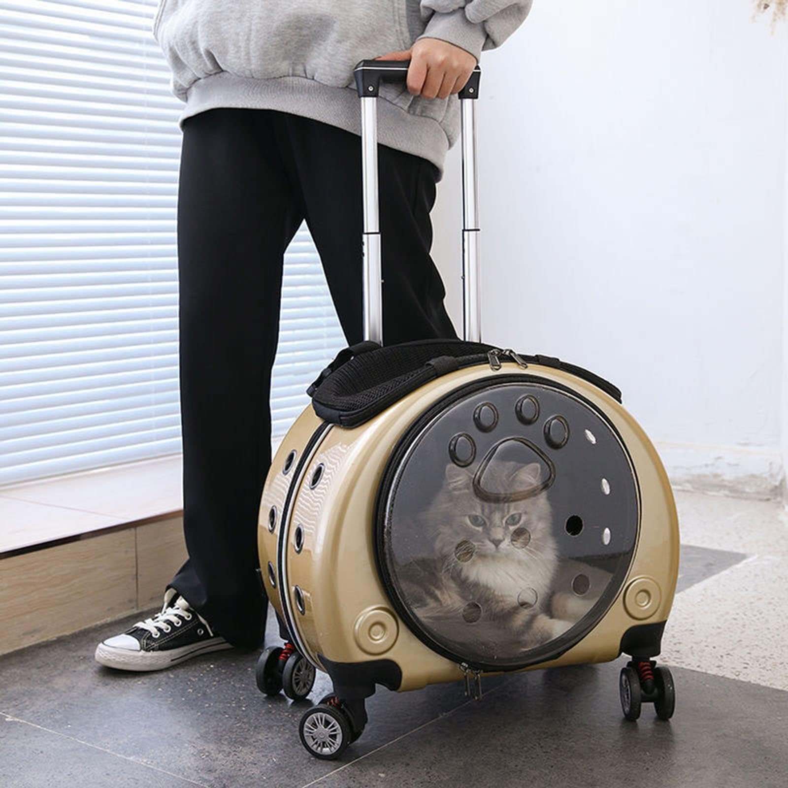 QZSM Sac à Dos pour Chat - Sac Transport Chien Avion Cabine, Cage pour ...