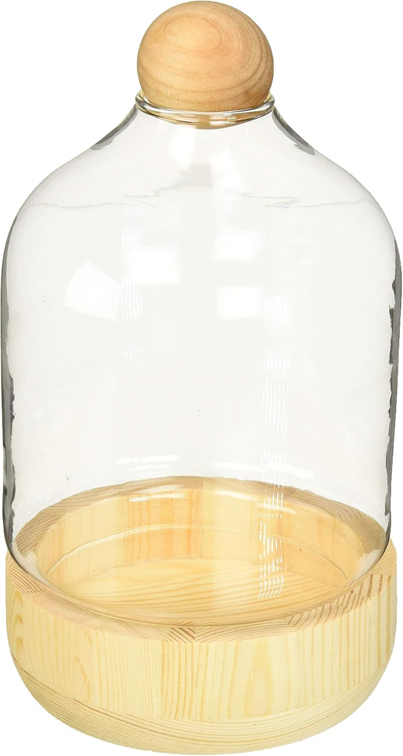 Amazon.com: Circleware Terraria Plant Glass Terrarium Home Decor Flower ...