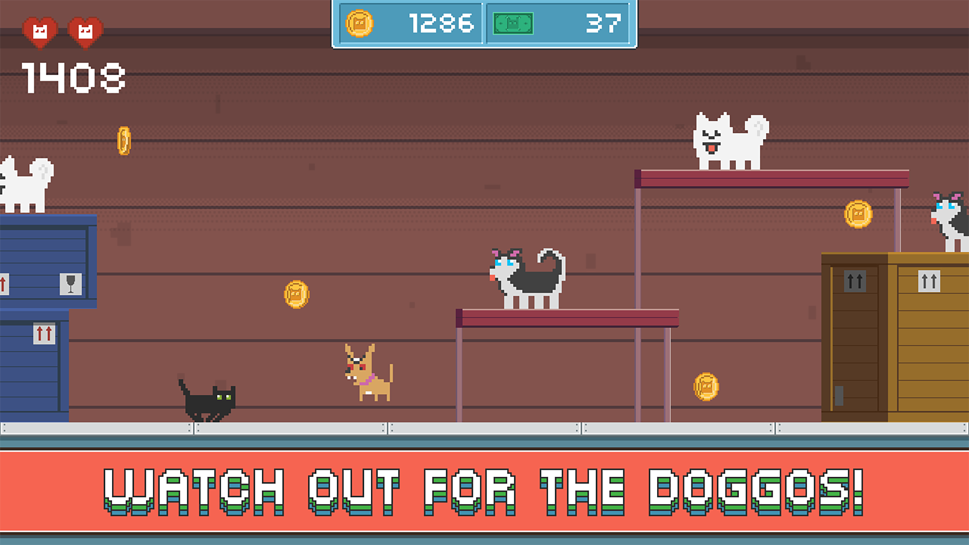 Infinite Meow - App on Amazon Appstore