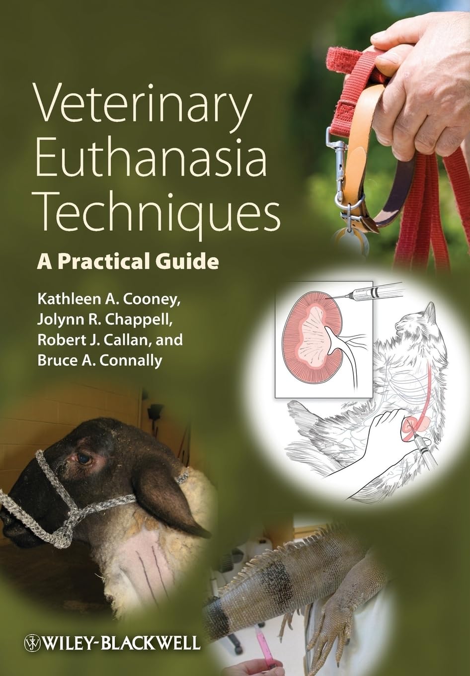 Veterinary Euthanasia Techniques: A Practical Guide: 9780470959183 ...