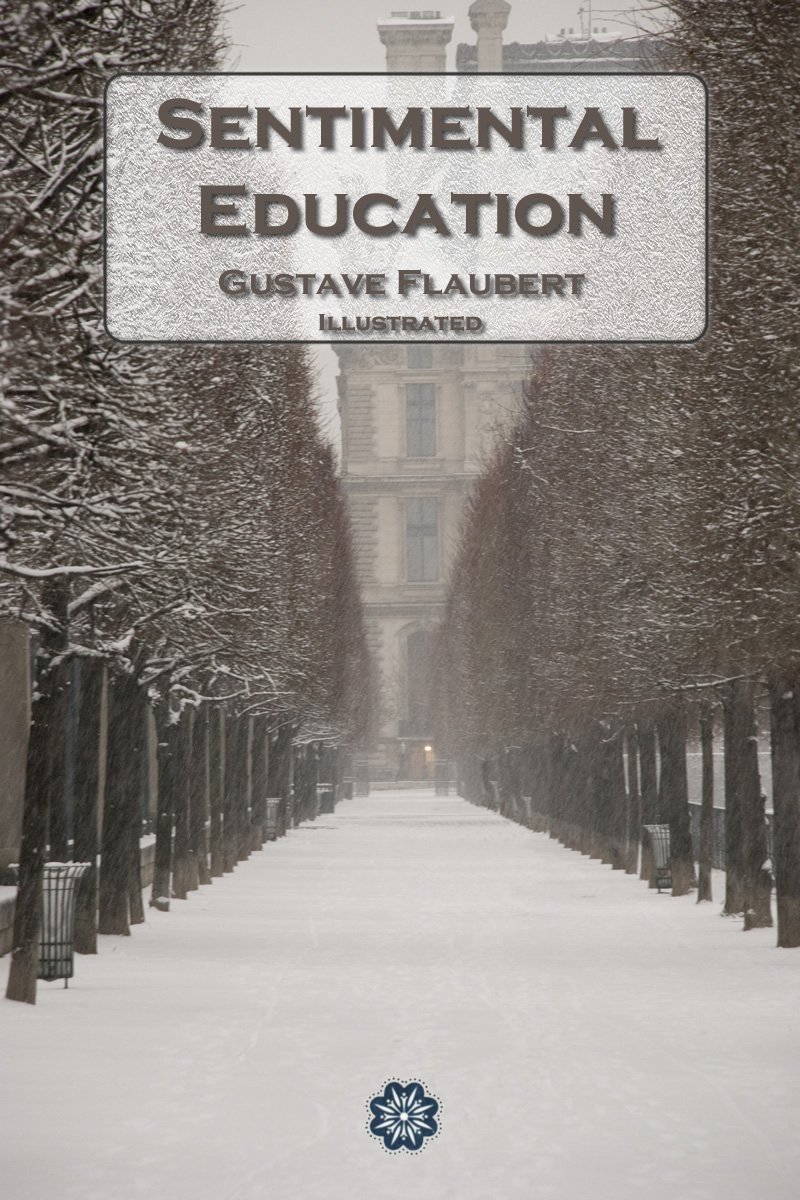 Sentimental Education - Kindle edition by Flaubert, Gustave, Townsend ...