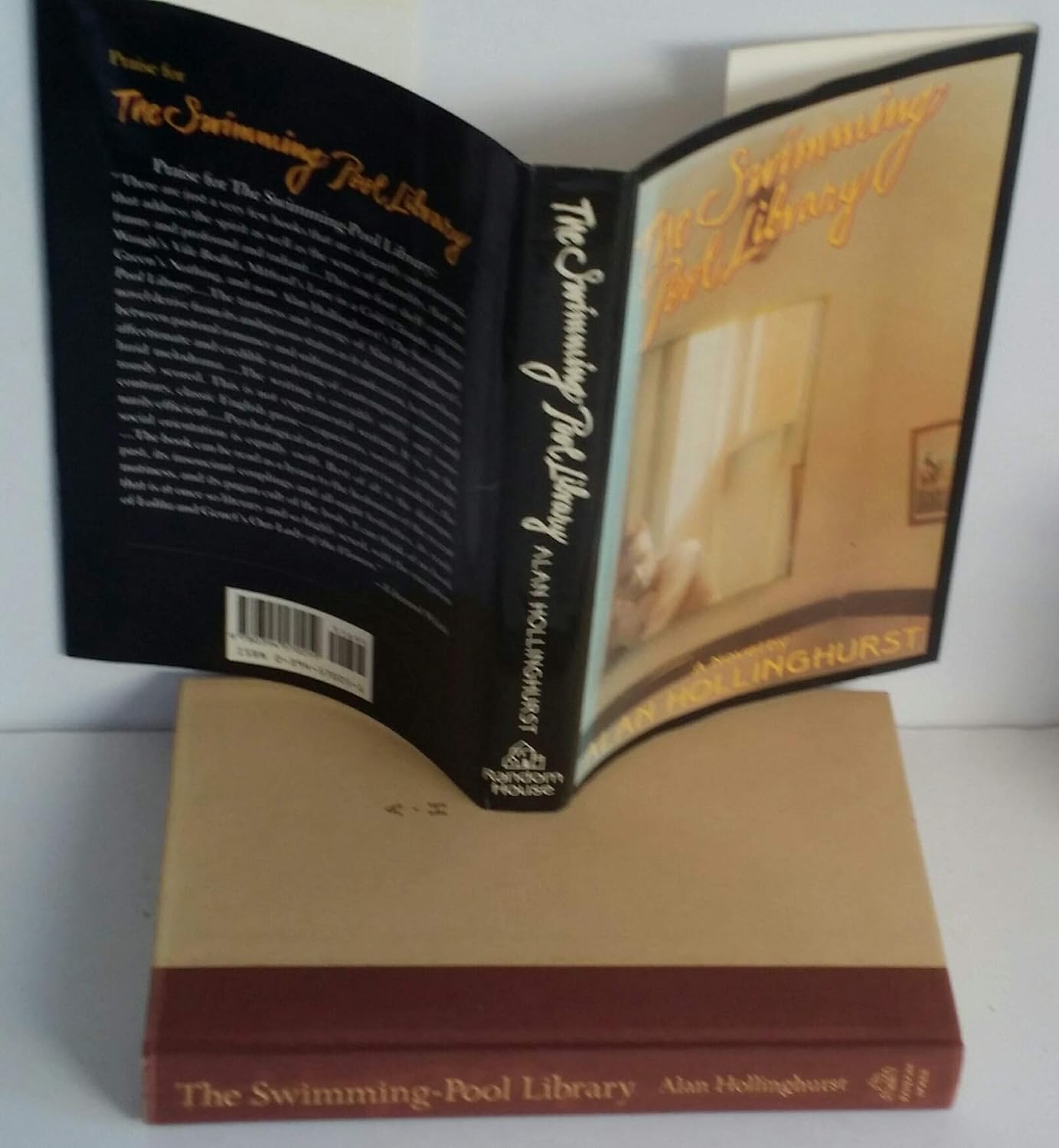 The Swimming-Pool Library: Hollinghurst, Alan: 9780394570259: Amazon ...