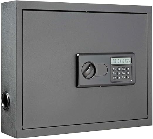 Global Industrial Wall-Mount Laptop Security Cabinet, Charcoal - Amazon.com