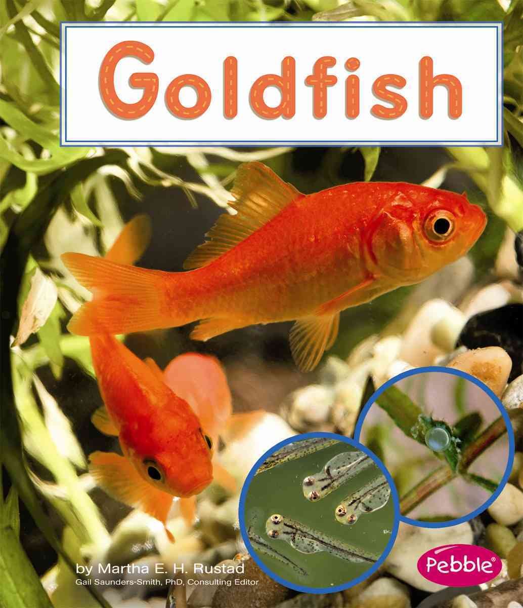 Goldfish (Watch It Grow): Rustad, Martha E. H.: 9781429638562: Amazon ...