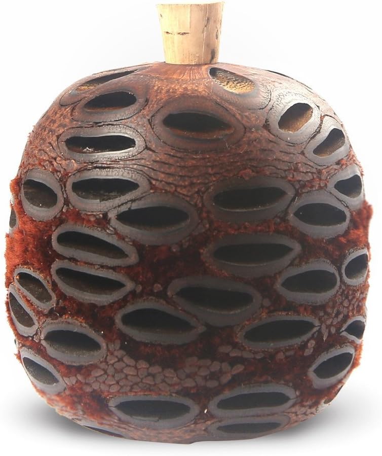 Amazon.com: Natural Banksia Scent Pot (Large) : Home & Kitchen