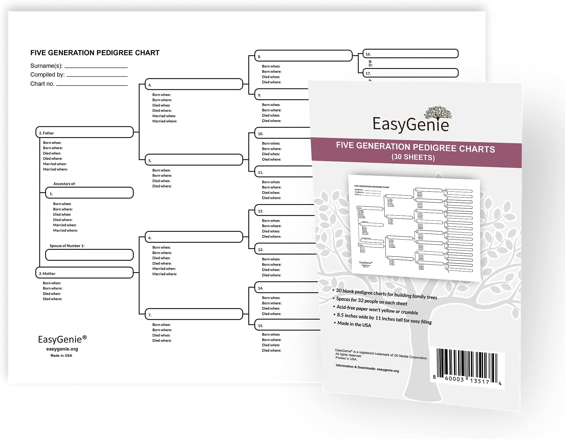 Amazon.com: TG,LLC Treasure Gurus Large Paper Family History Tree ...