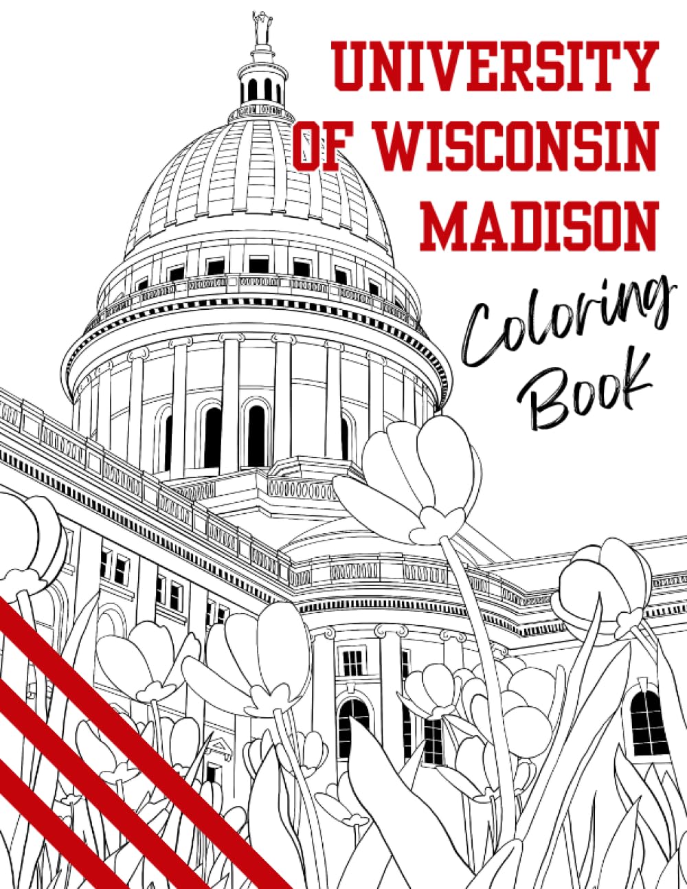 Amazon.com: University of Wisconsin Madison Coloring Book ...