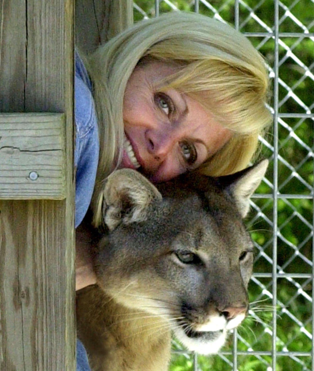 Cougar: Ecology and Conservation: Hornocker, Maurice, Negri, Sharon ...