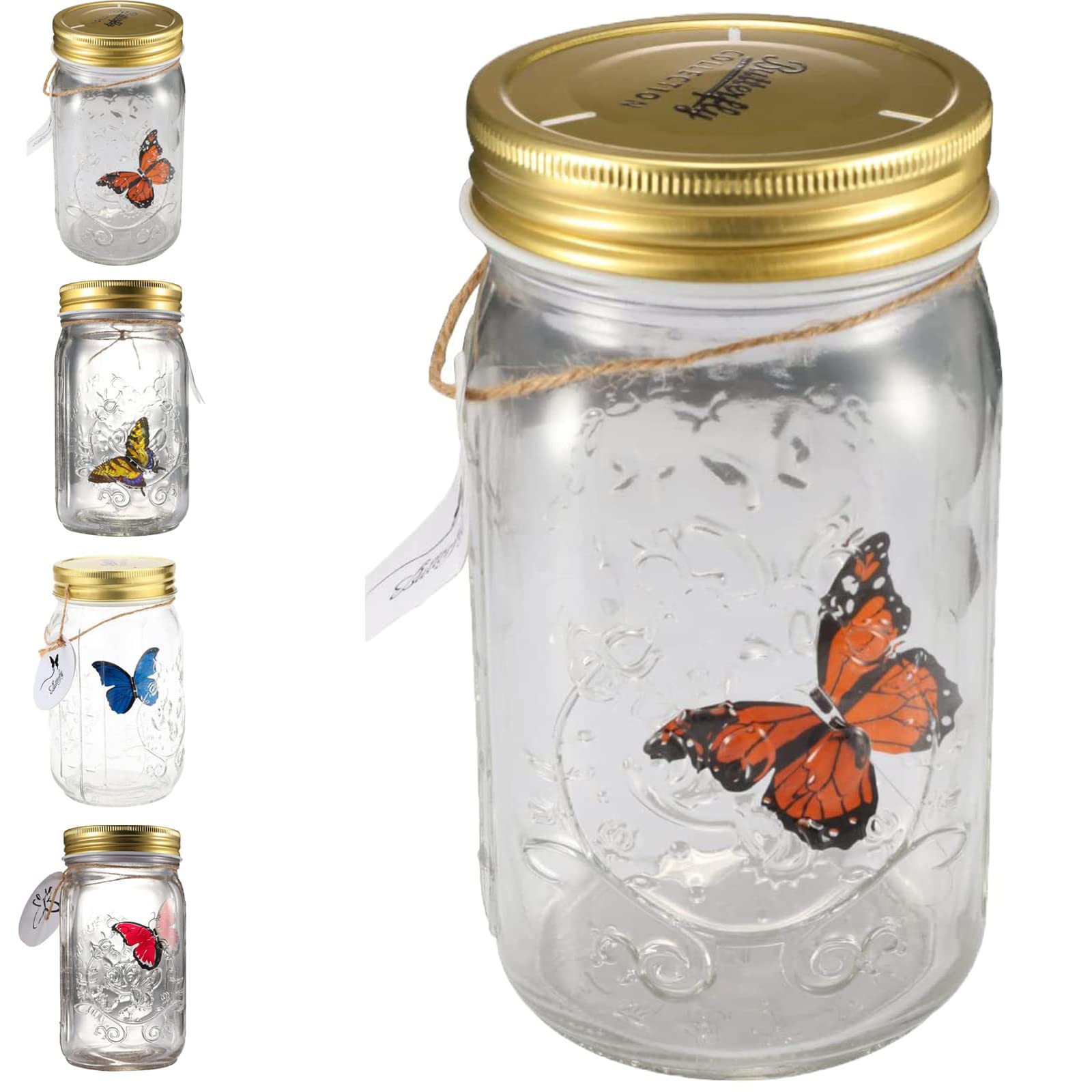 10 Best Butterfly Collection Jars for Displaying Your Beautiful Insects ...