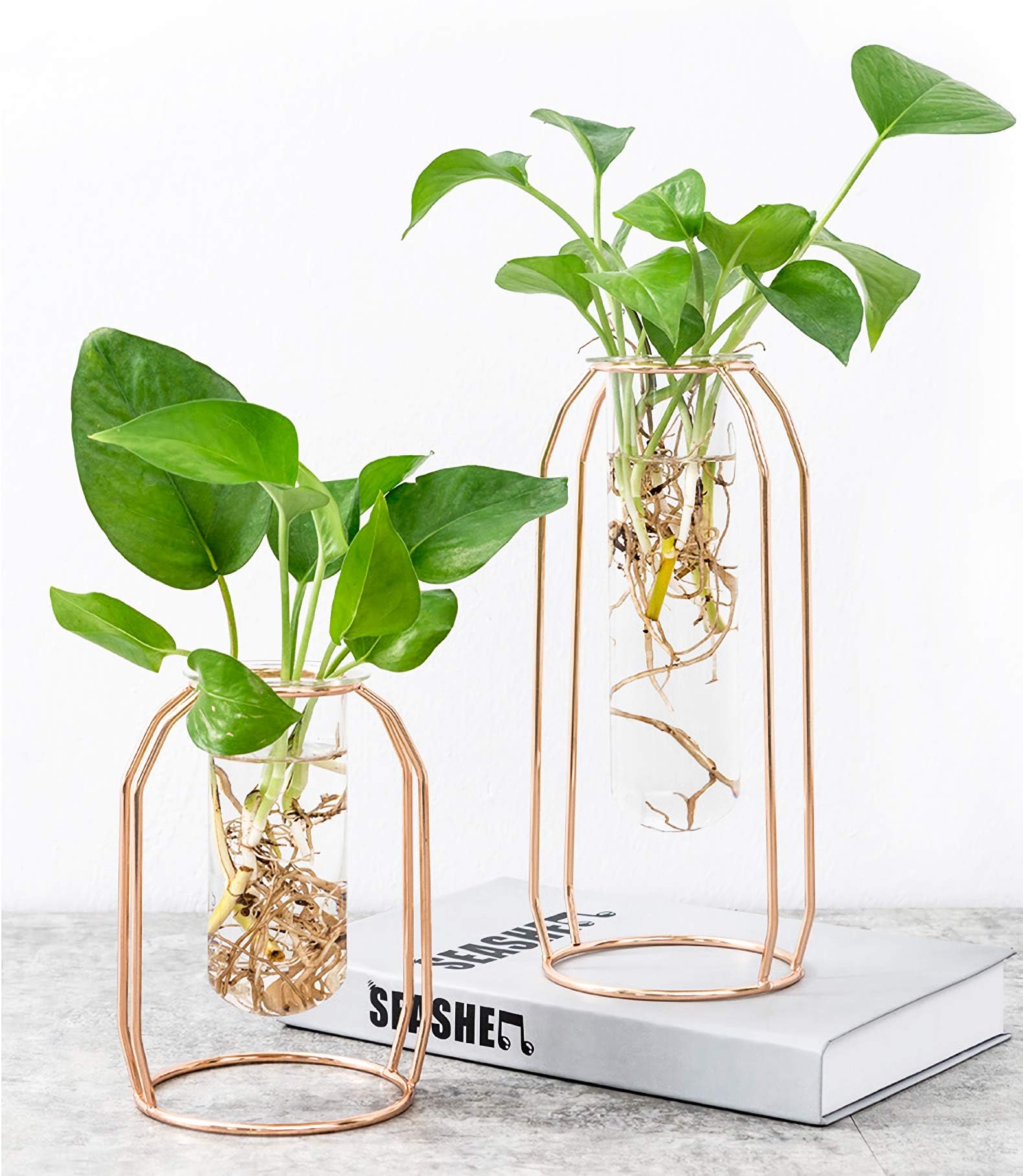 Amazon.com: Kingrol 2 Pack Planter Terrariums with Metal Stand ...