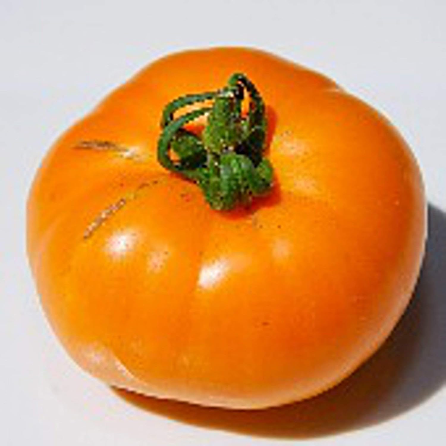 Amazon.com : Russian Persimmon Tomato Seeds (20+ Seeds) | Non GMO ...