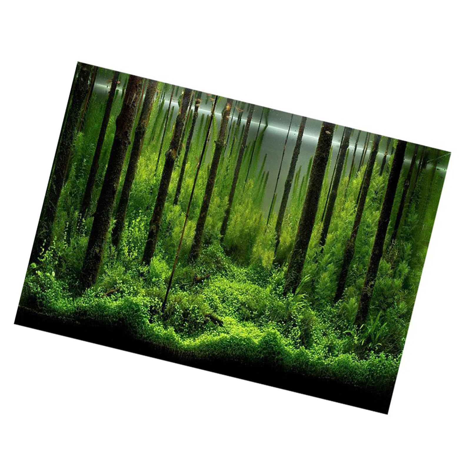 Background 55 Gallon Tank Aquarium Background 55 Gallon Tank 72x18