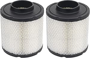 Amazon.com: Road Passion 7082037 2521372 Air Filter Compatible with ...
