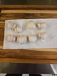 Amazon.com: White Button Mushroom Growing Kit ~ Easy to Grow Your Fresh ...