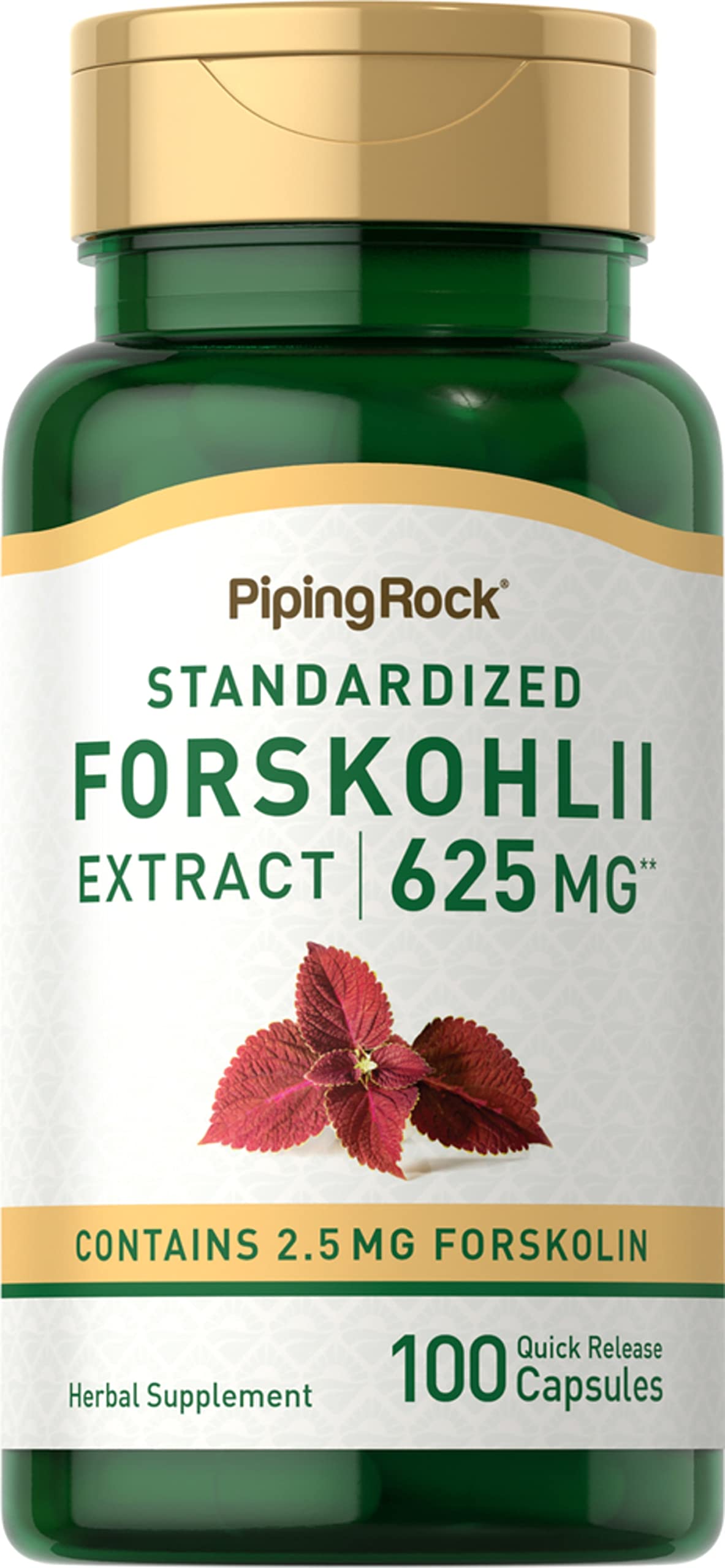 Coleus Forskohlii Supplement