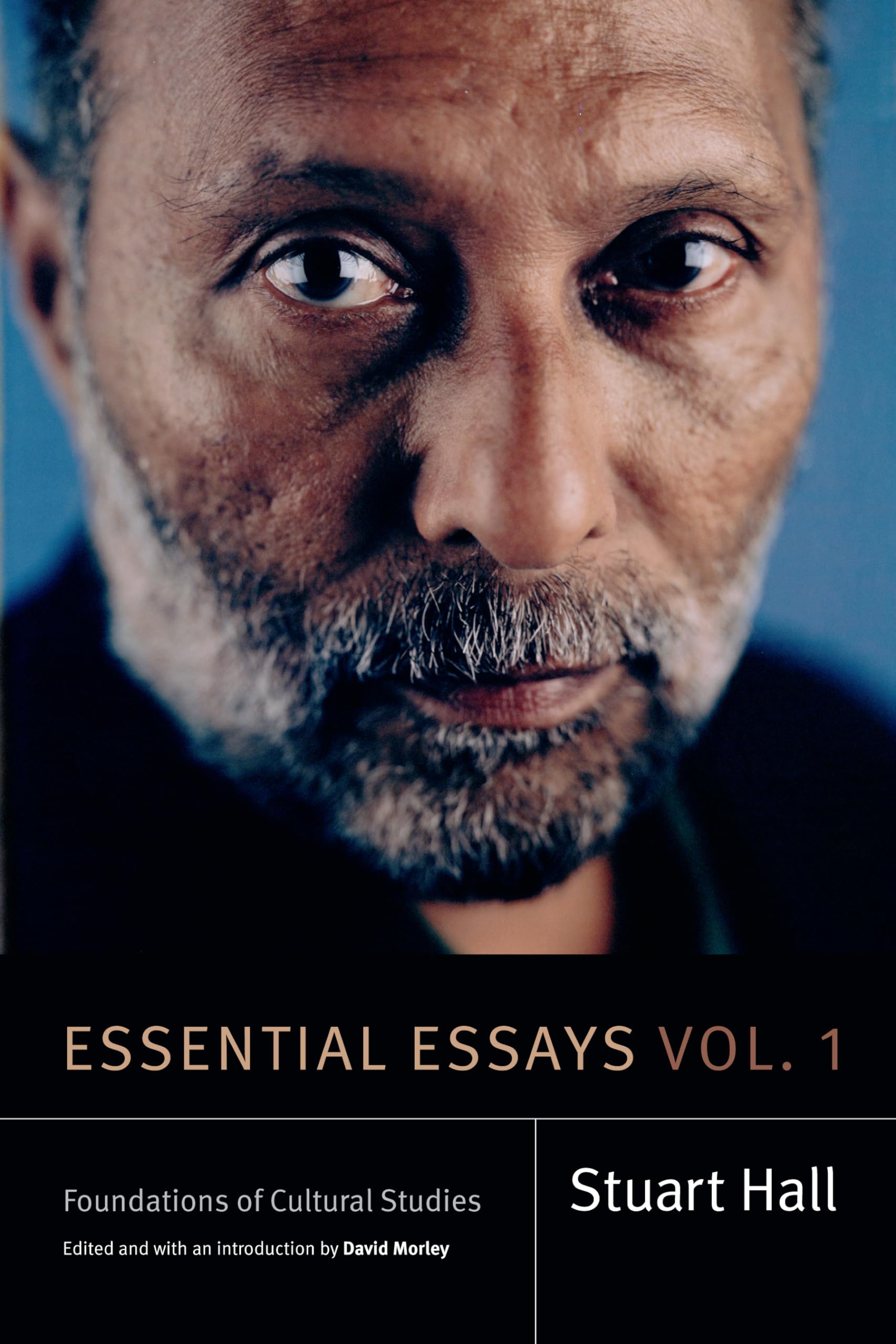 Amazon.com: Essential Essays, Volume 1: Foundations of Cultural Studies ...