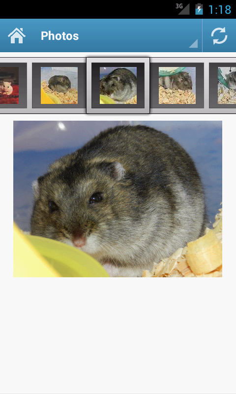 How To Care For Pet Hamster - App on the Amazon Appstore