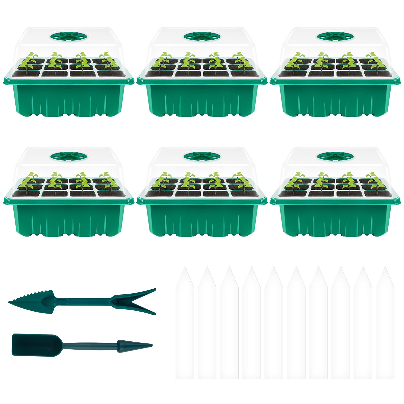 Buy 6 Pcs Seed Trays Seedling Starter Trays Seed Germination Boxes ...