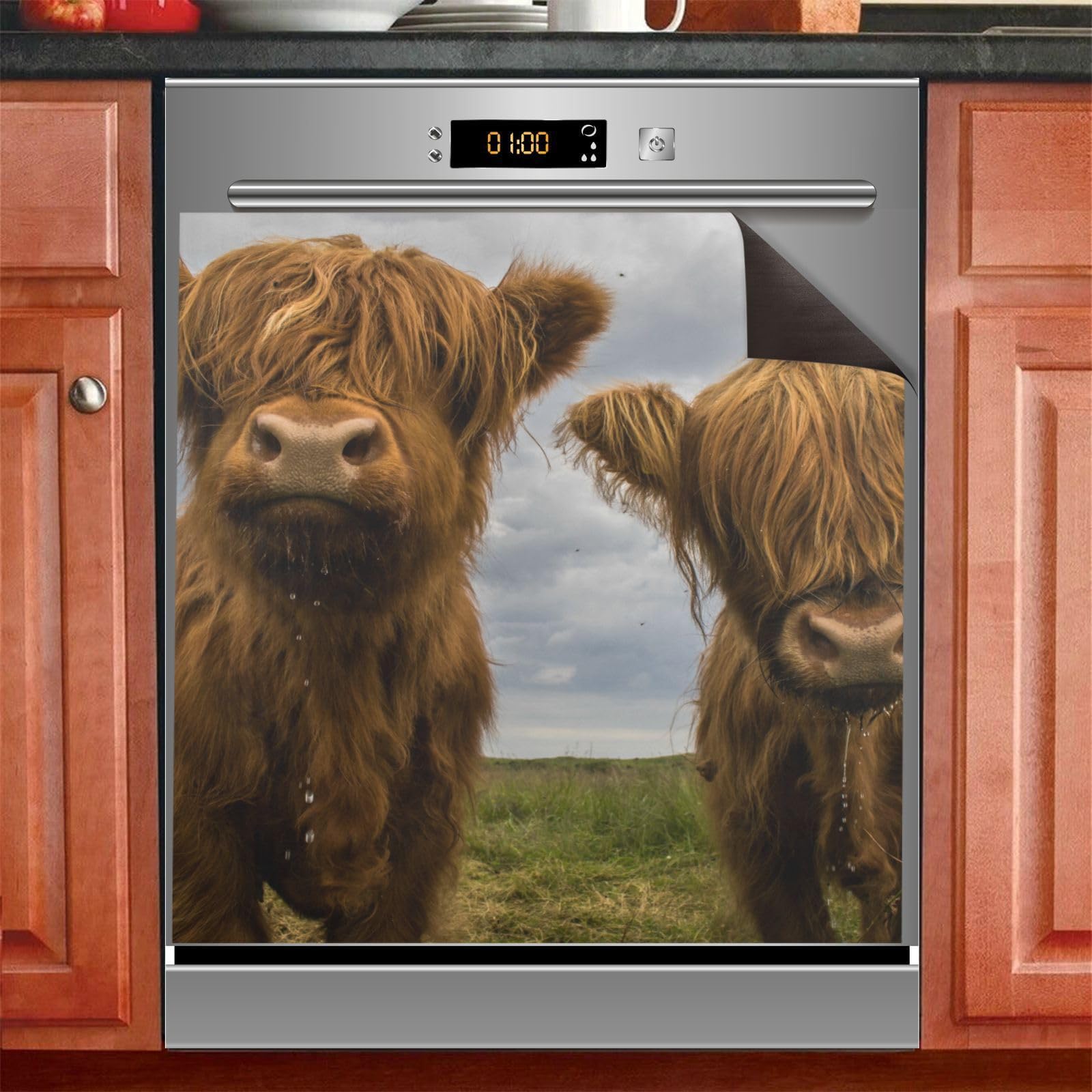 Amazon.com: Dishwasher Cover Panel, Funny Scottish Highland Cattle Cows ...