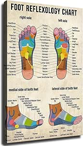 Amazon.com: Massage Therapist Foot Reflexology Chart Wrapped Poster Canvas Print Wall Art ...