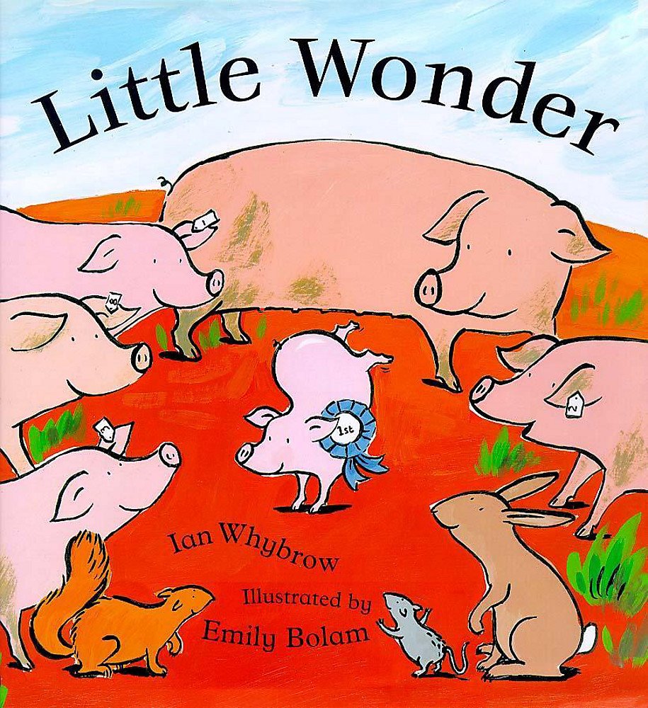 Little Wonder: Ian Whybrow: 9780340635957: Amazon.com: Books