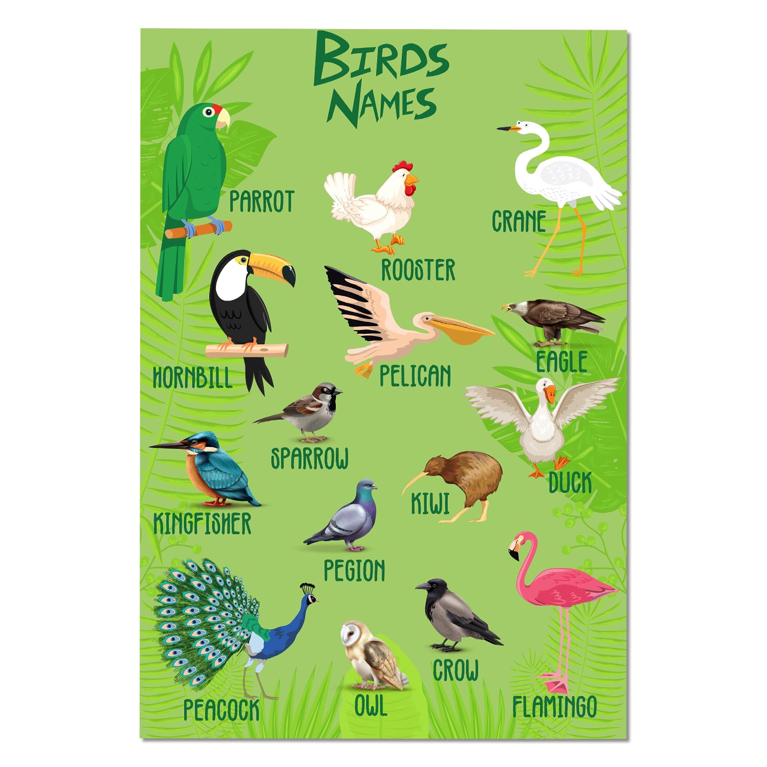 Ritwika's Wall Poster For Kids | Famous Bird Names With Pictures ...