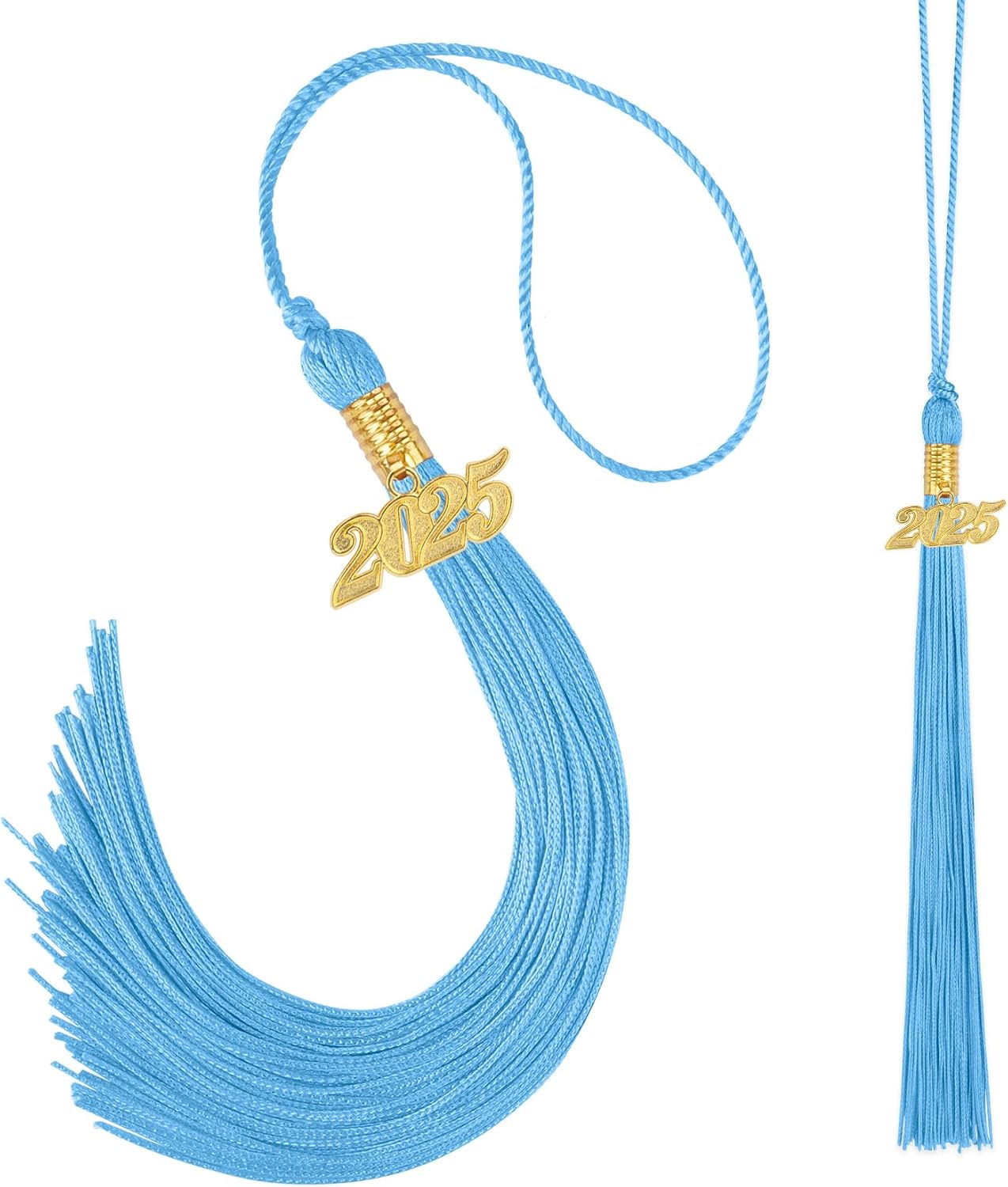 Amazon.com: Light Blue 2025 Graduation Tassels 2 PCS Baby Blue Tassel ...