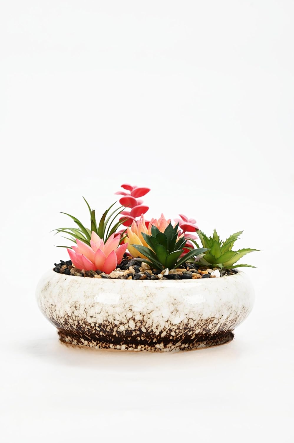 Amazon.com : KJIAXQAN Large Garden Bowl Planter Water Plant Pot Water ...