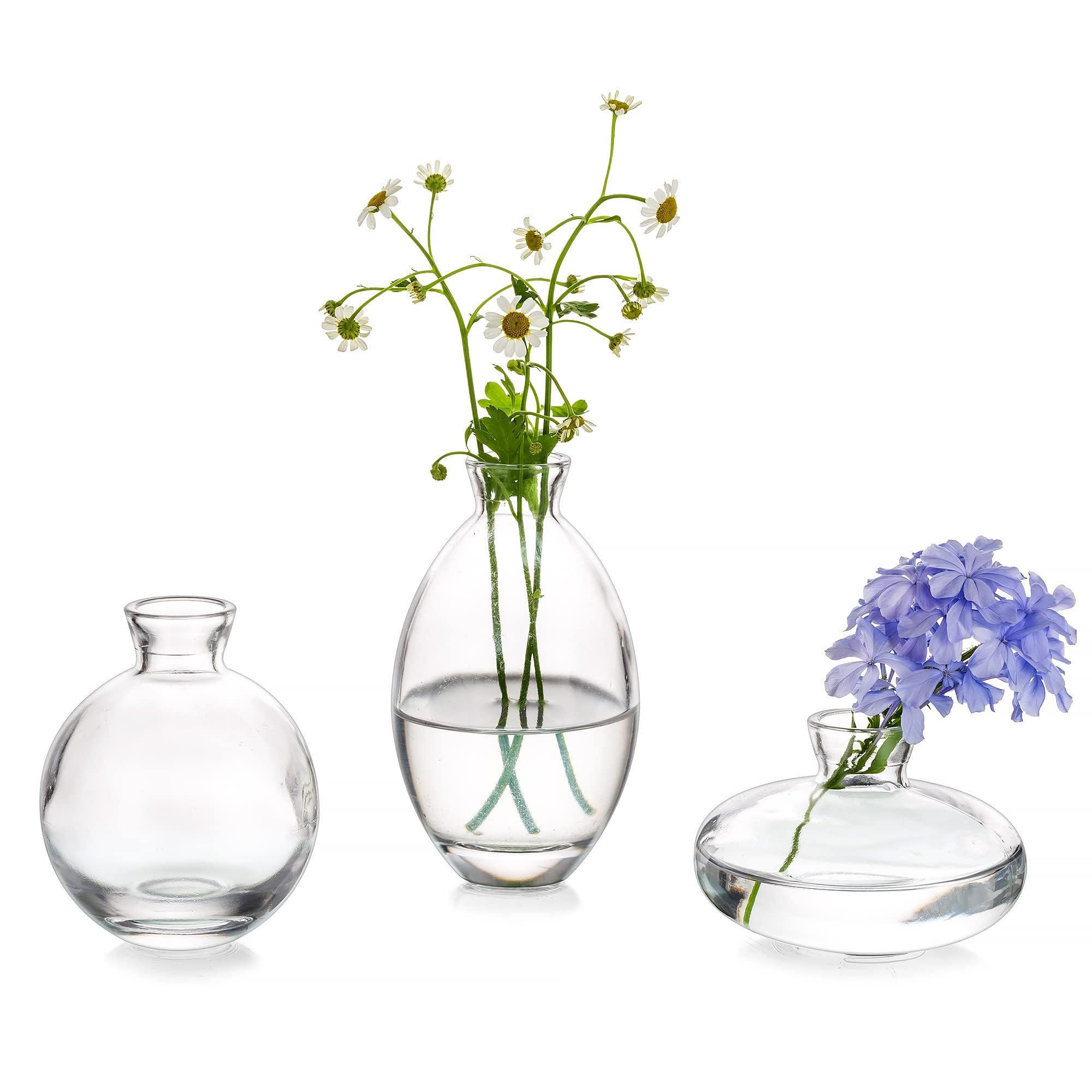 Amazon.com: Glasseam Clear Glass Bud Vase, 3Pcs/Set Modern Decorative ...