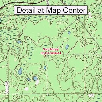 Amazon.com : USGS Topographic Quadrangle Map - Sopchoppy, Florida ...