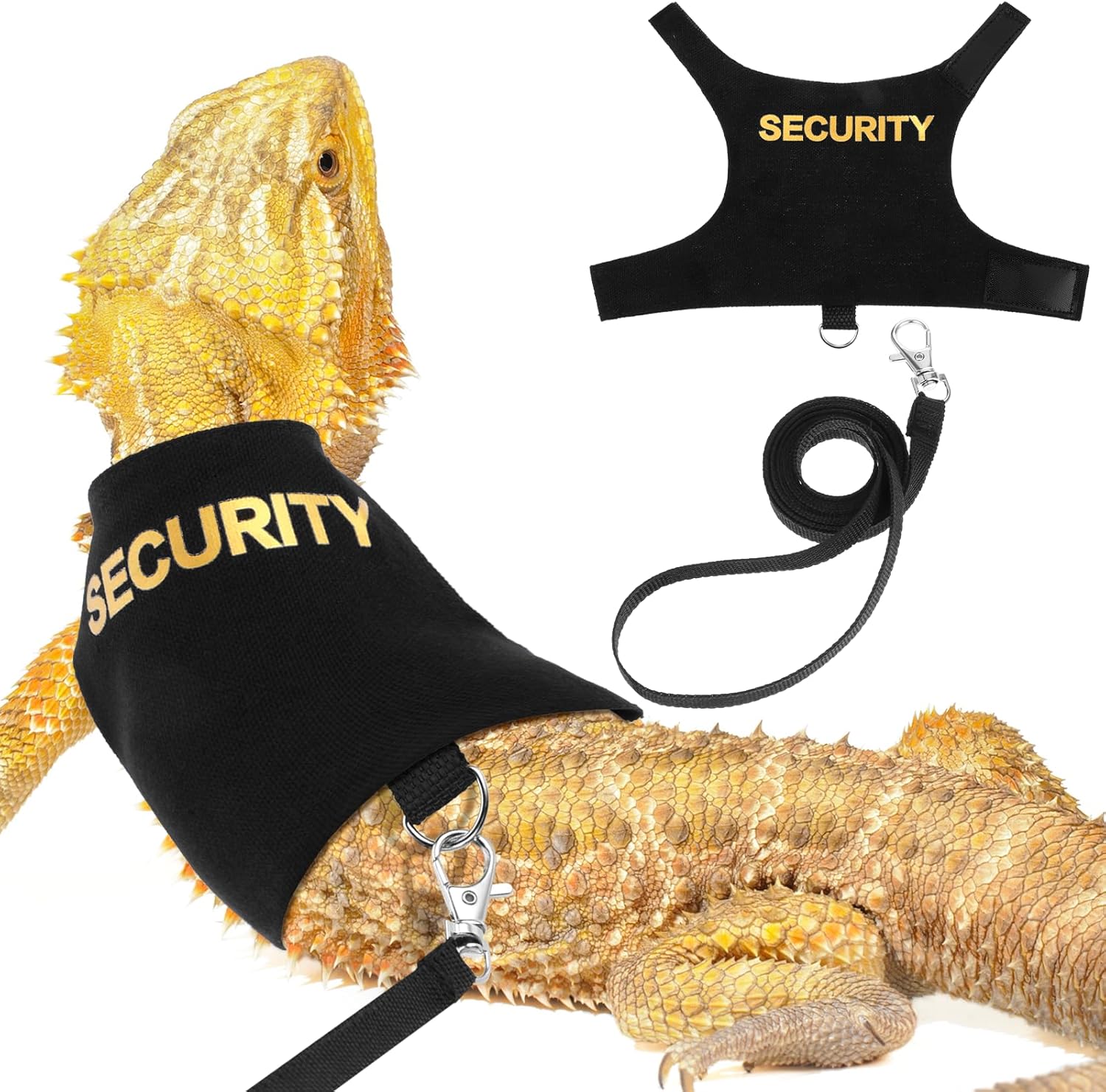 Amazon.com : Bearded Dragon Harness and Leash Set - Escape Proof ...