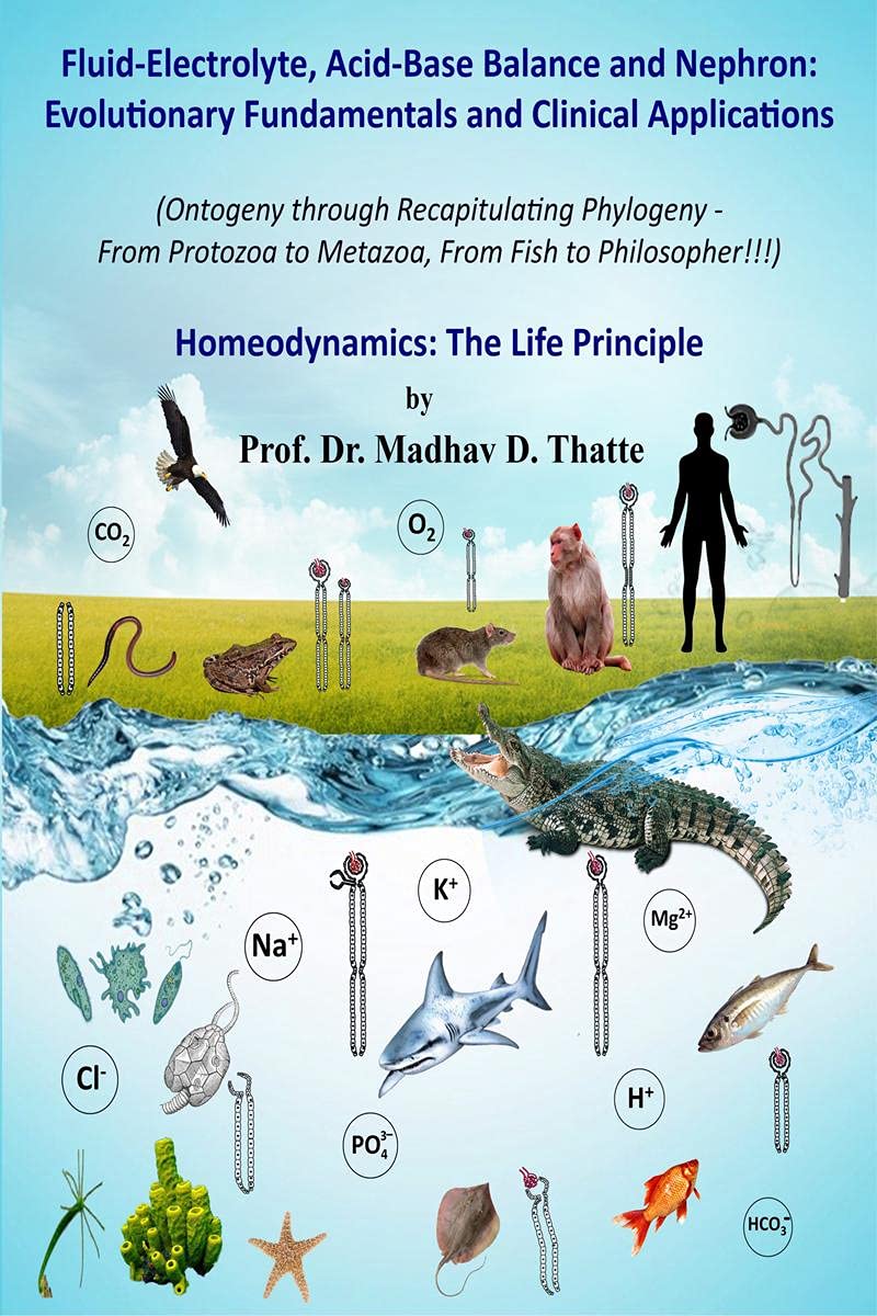 Fluid Electrolyte Acid Base Balance And Nephron Evolutionary ...
