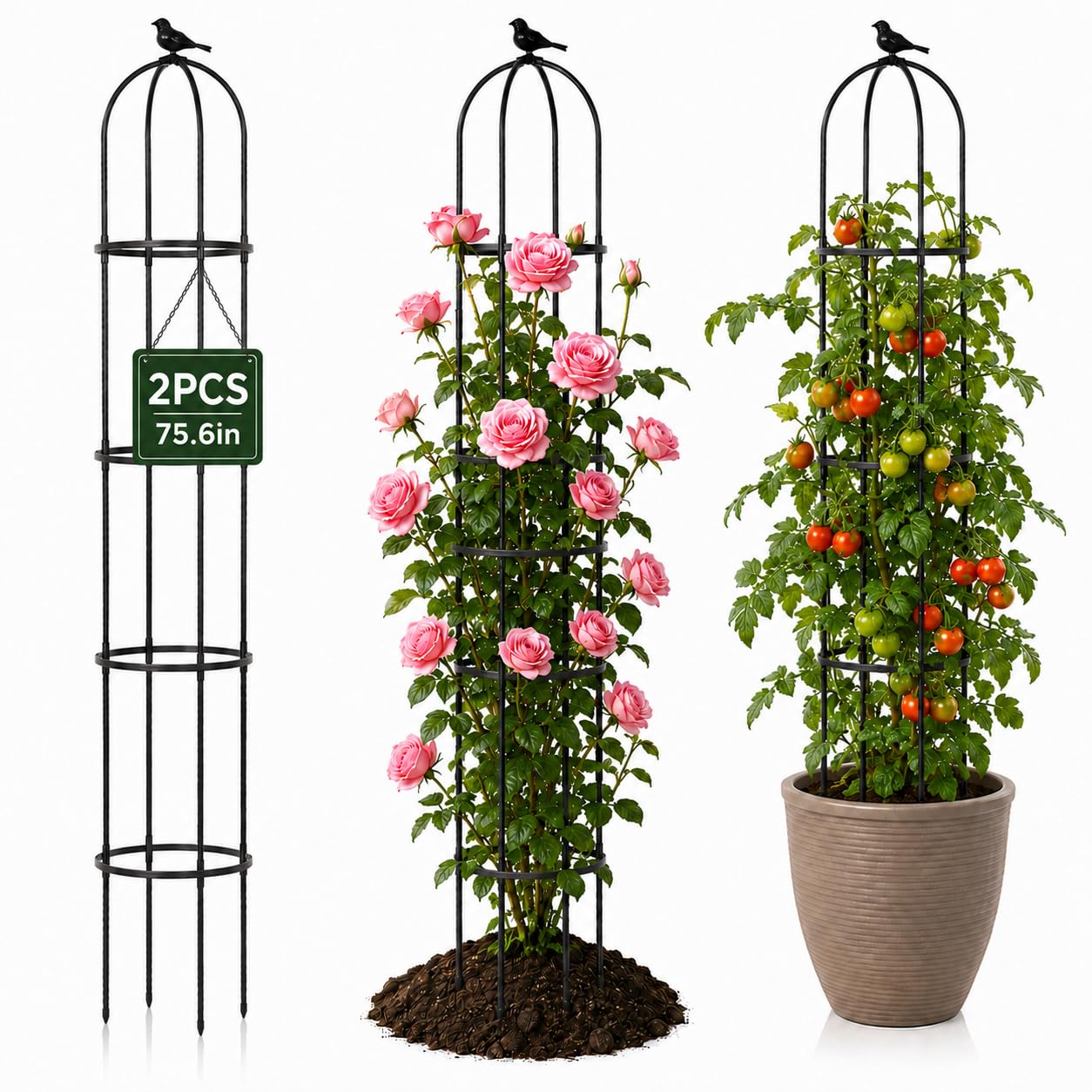 7 Best Metal Obelisk Trellis | 76" Height for Heavy Vines