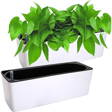 Amazon.com : GardenBasix Elongated Self Watering Planter Pots Window ...