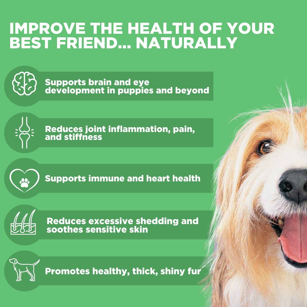 Does Fish Oil Help With Dog Shedding