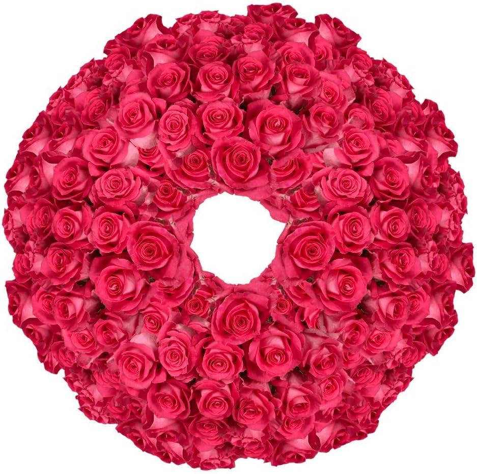 Amazon.com : GlobalRose 250 Fresh Cut Bright Pink Roses - Large Bloom ...