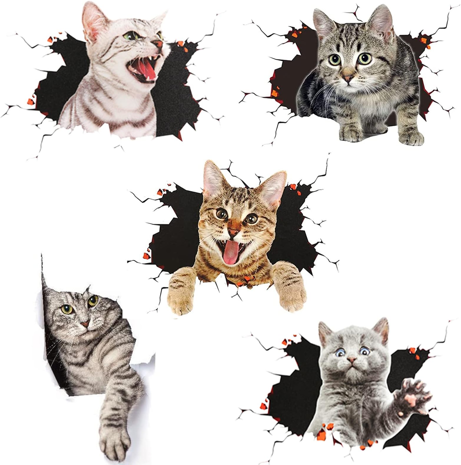 Amazon.com: 11PCS New 3D Removable Cartoon Animal Cats Large Wall ...