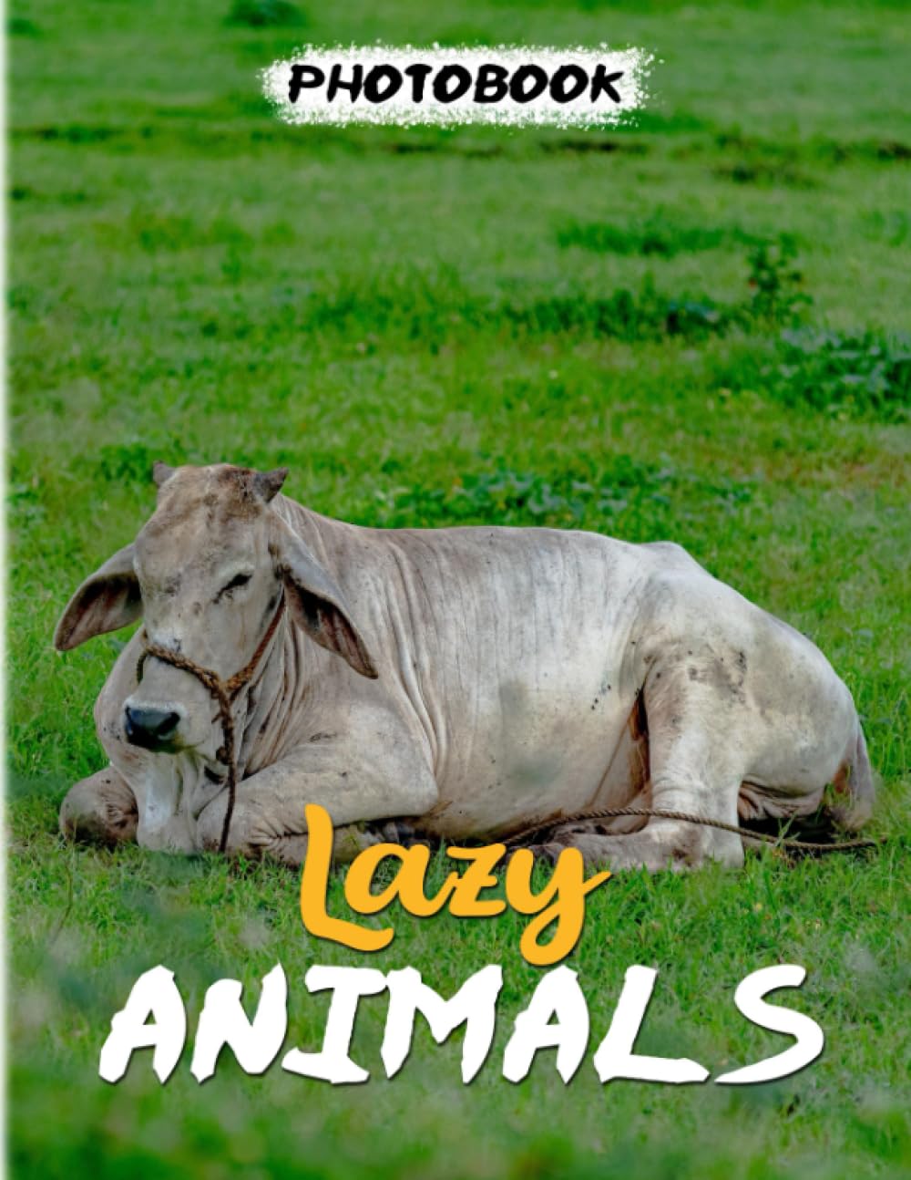 Lazy Animals Photo Book: Collection Of Different Indolent Animals With ...