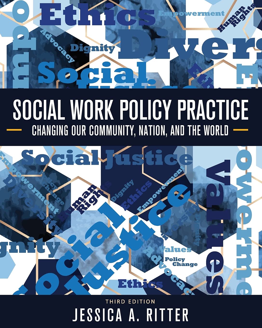 Social Work Policy Practice: Changing Our Community, Nation, and the ...