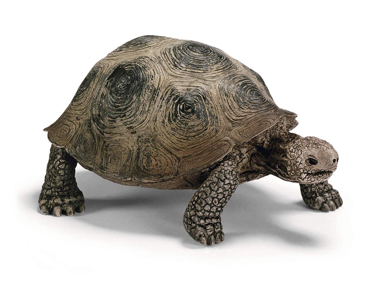 Schleich Giant Turtle : Amazon.in: Toys & Games