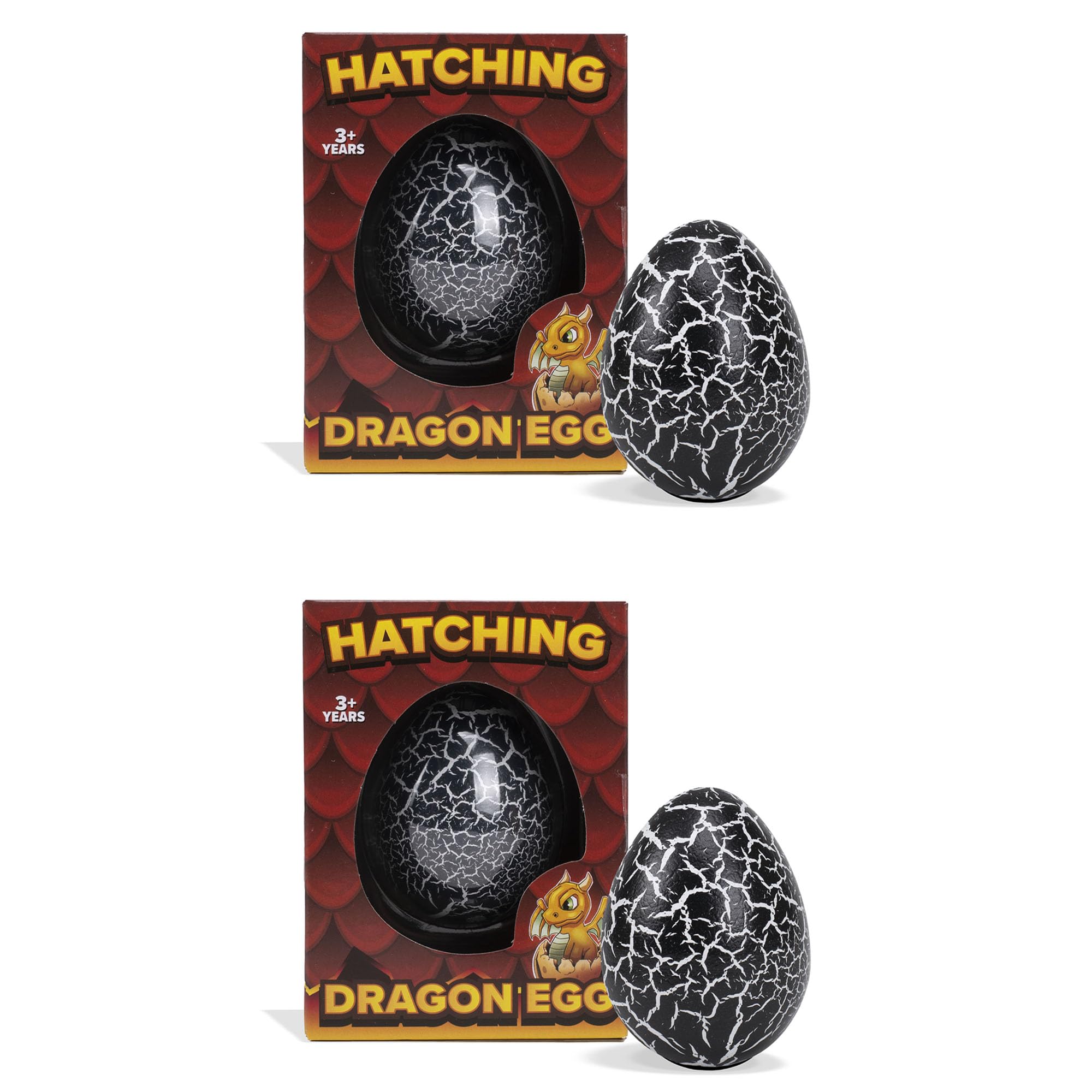 Amazon.com: Class Collections Surprise Growing Dragon Hatch Egg Kids ...